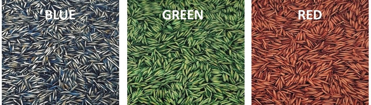 Rice Husk Resin Plates - Atlas Supplies